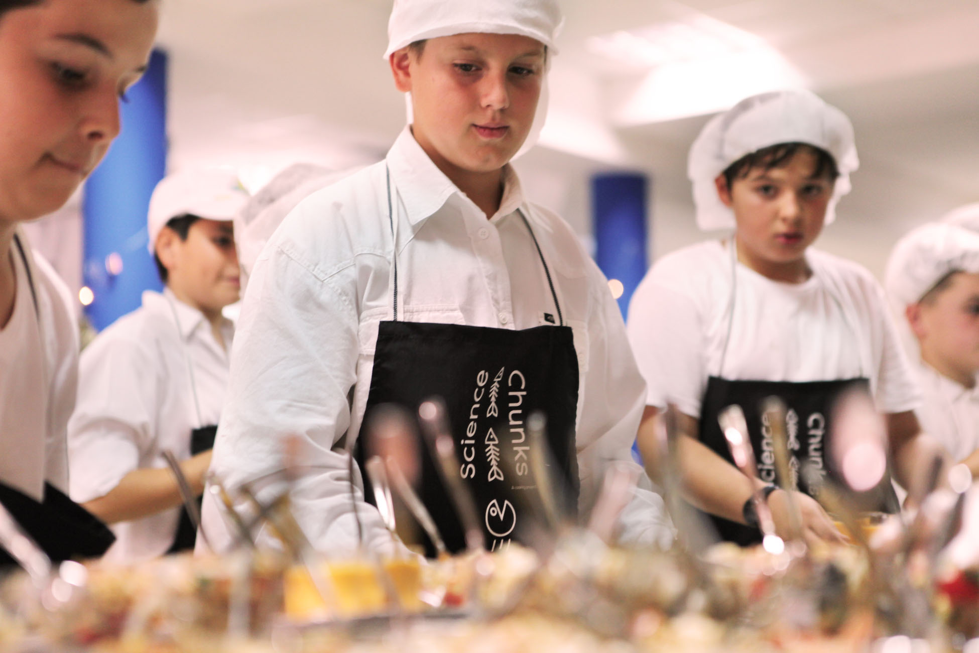 Science chunks3 – Colegio Ártica