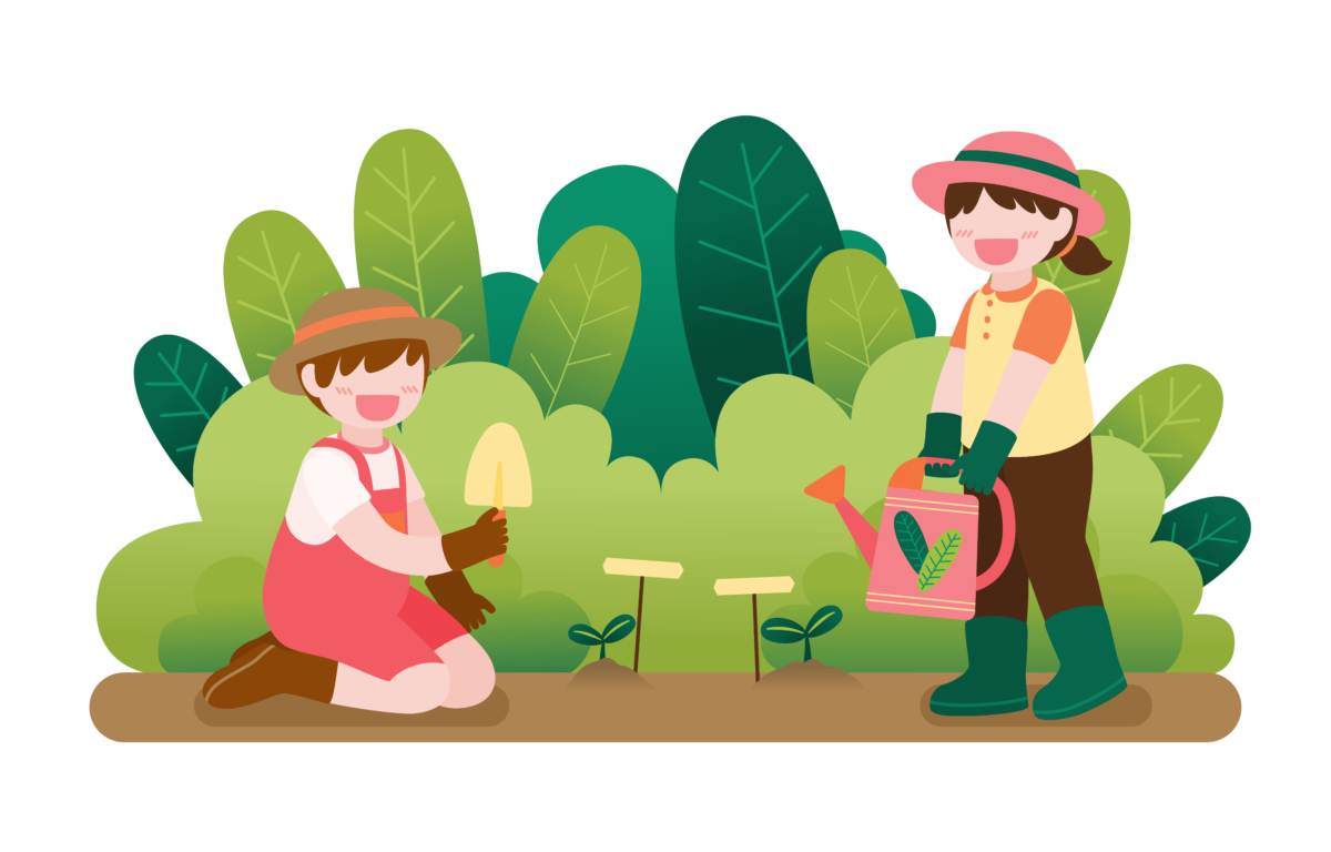 Huerto – Colegio Ártica